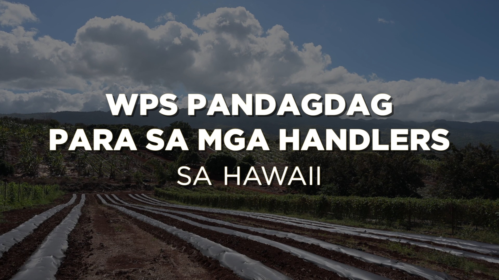 Plant Industry Division | Worker Protection Standard (WPS) Training Videos for Workers and ...